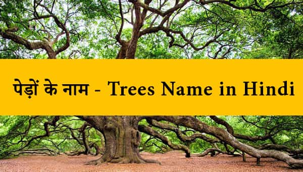 100 Tree Names In Hindi